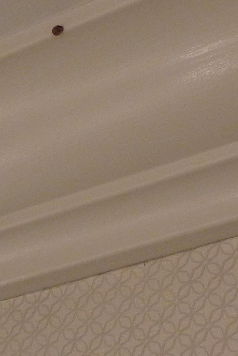 Work In Progress - Ashgrove Spa